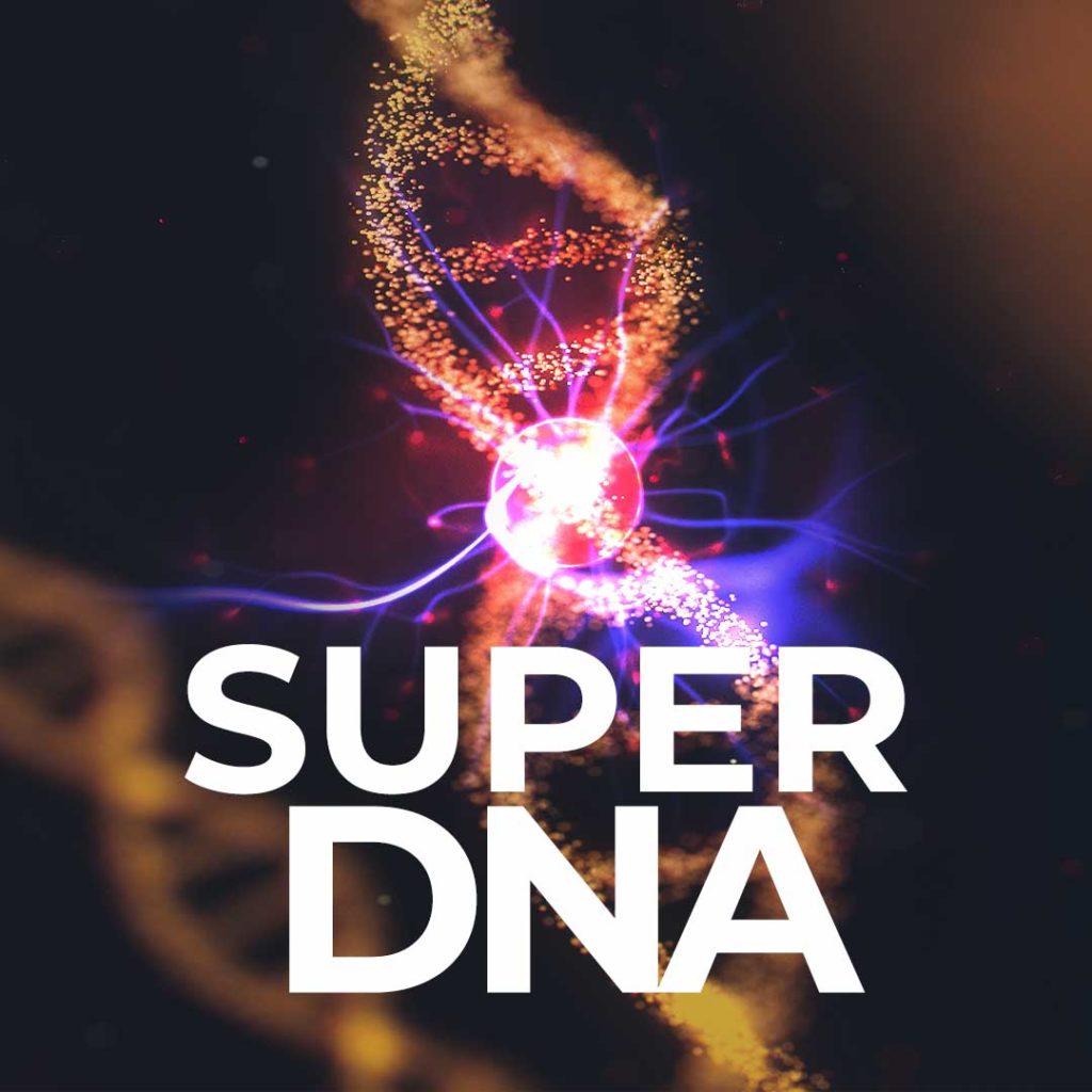 Sacred Geometry Activations Archives - Tamra Oviatt