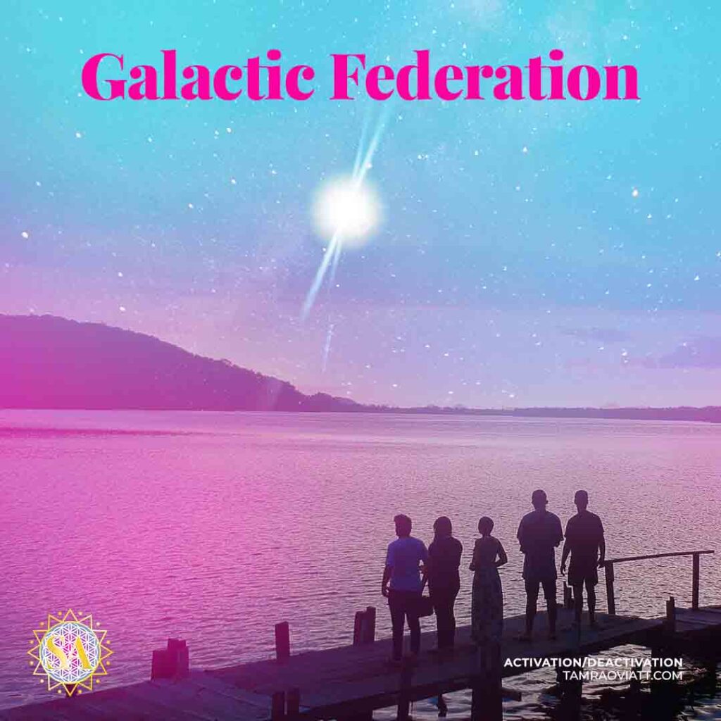 Activations Archives - Tamra Oviatt