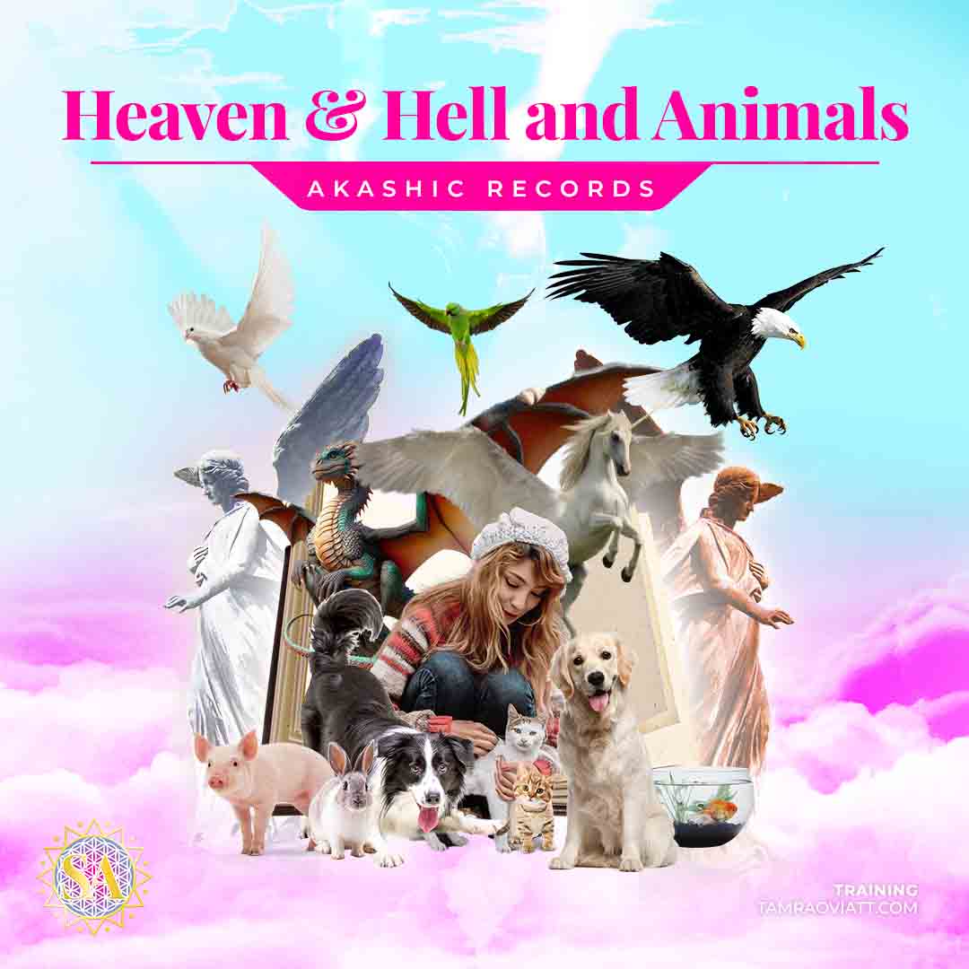 Heaven & Hell and Animal Akashic Records Training - Tamra Oviatt